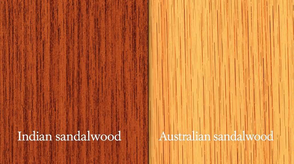 What Is the Difference Between Indian Sandalwood and Australian ...